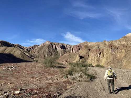 Best Hikes and Trails in Yuha Desert Recreation Area | AllTrails