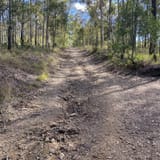 Samford Conservation Park Loop, Queensland, Australia - 477 Reviews ...