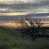 Autumn Ridge Trail, California - 397 Reviews, Map | AllTrails