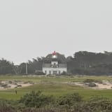Asilomar State Beach and Coast Trail, California - 762 Reviews, Map ...