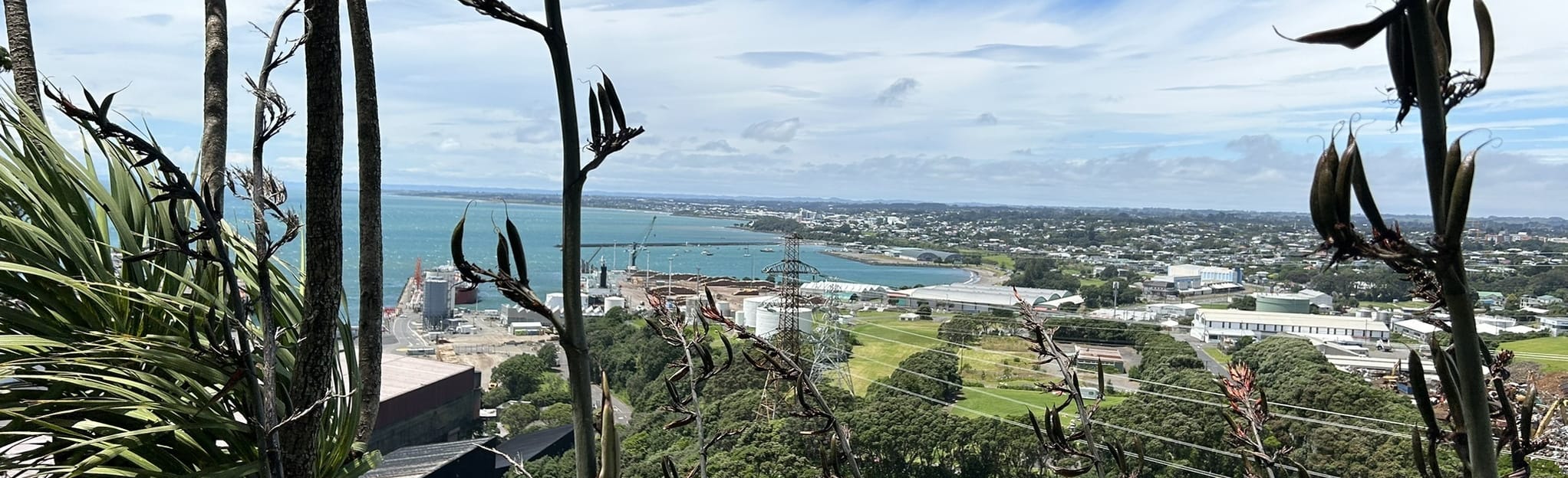 Paritutu Rock Trail, Taranaki, New Zealand - 101 Reviews, Map | AllTrails