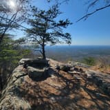 Pinhoti Trail: Adam's Gap to Cheaha State Park, Alabama - 133 Reviews ...