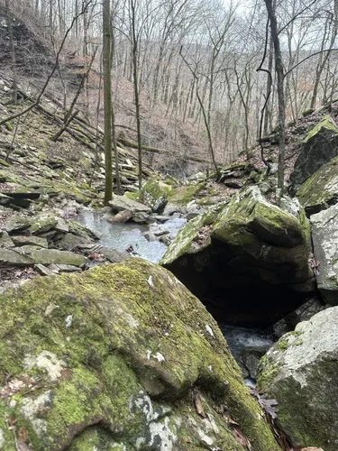 Best Hikes and Trails in Long Pool Recreation Area | AllTrails