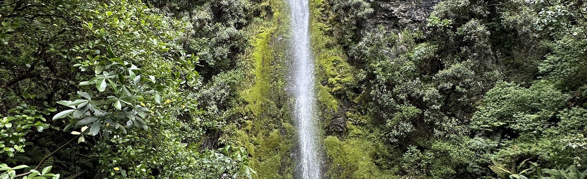Dog Stream Waterfall via Waterfall Track, Canterbury, New Zealand - 132 ...