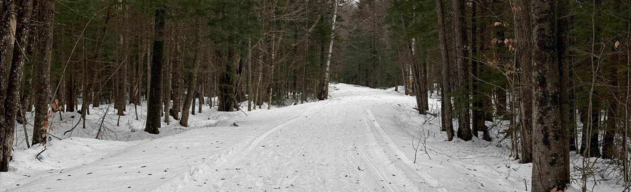Greendale Loop Trail, Vermont - 25 Reviews, Map | AllTrails