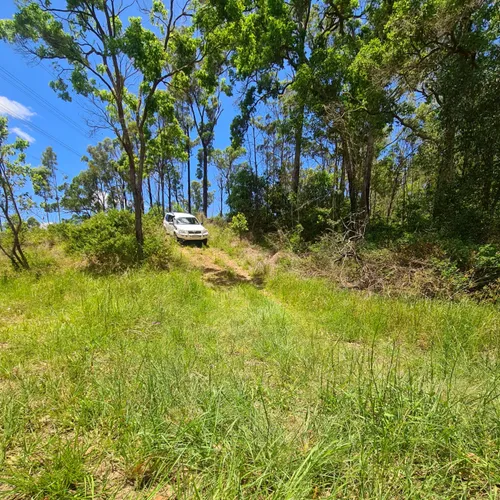 Best Hikes and Trails in Benarkin State Forest | AllTrails