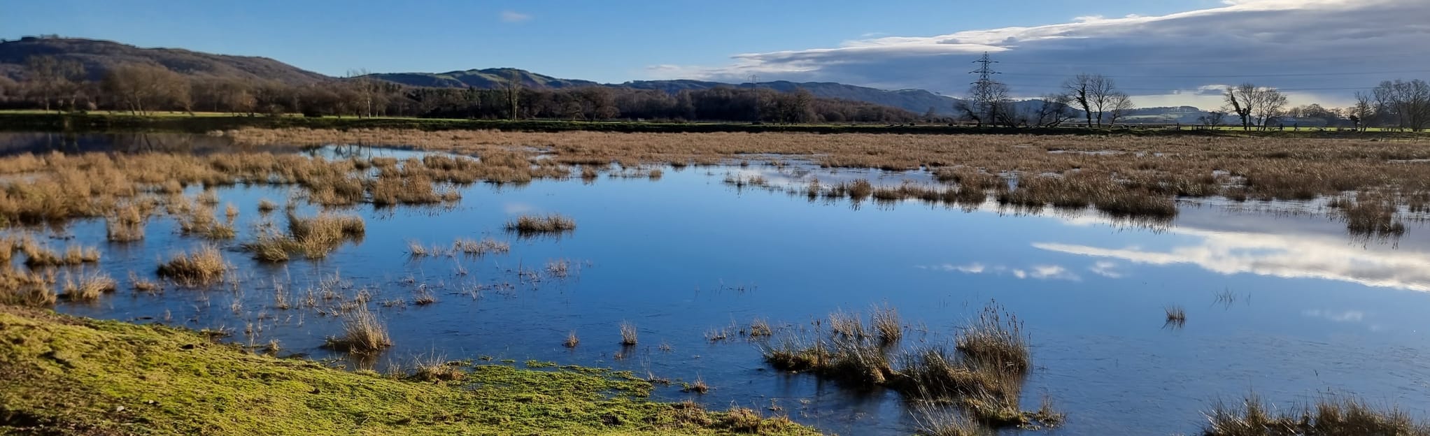 Roudsea Wood and Mosses National Nature Reserve, Cumbria, England - 74 ...