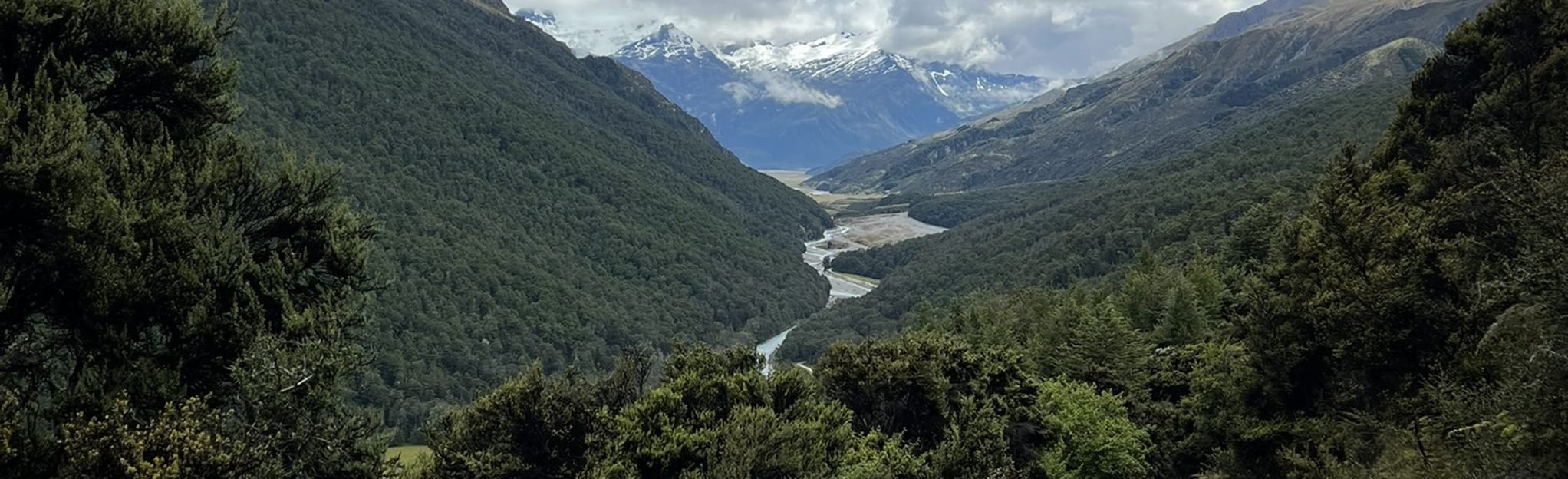 Invincible Gold Mine Track: 40 Reviews, Map - Otago, New Zealand ...