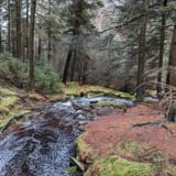 Snake Woodland and Snake Path Circular, Derbyshire, England - 193 ...