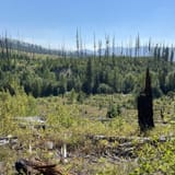 Logging Lake and Grace Lake via Logging Lake Trail, Montana - 44 ...