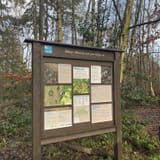 Blean Woods Green Trail, Kent, England - 52 Reviews, Map | AllTrails