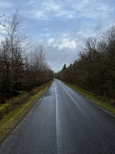 10 Best Views Trails in Skjern Enge | AllTrails