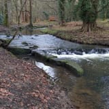 Beamish Park and Causey Arch Circular, County Durham, England - 343 ...