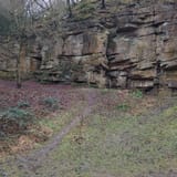 Beamish Park and Causey Arch Circular, County Durham, England - 343 ...