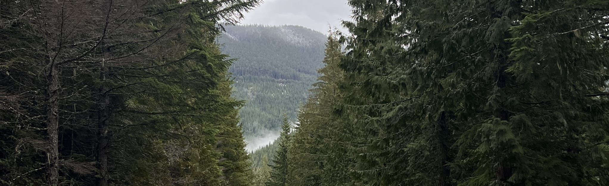 The Yurt Trail, Washington - 26 Reviews, Map | AllTrails