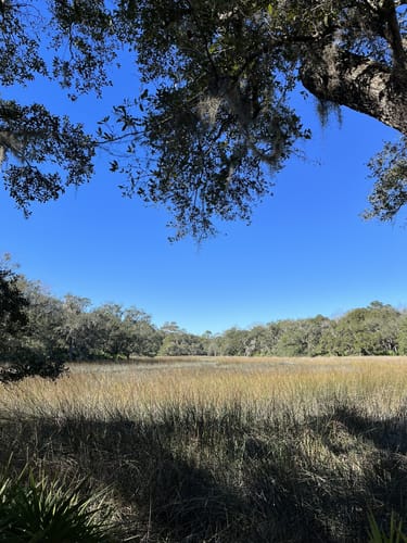 2023 Best 10 Mountain Biking Trails in Florida | AllTrails