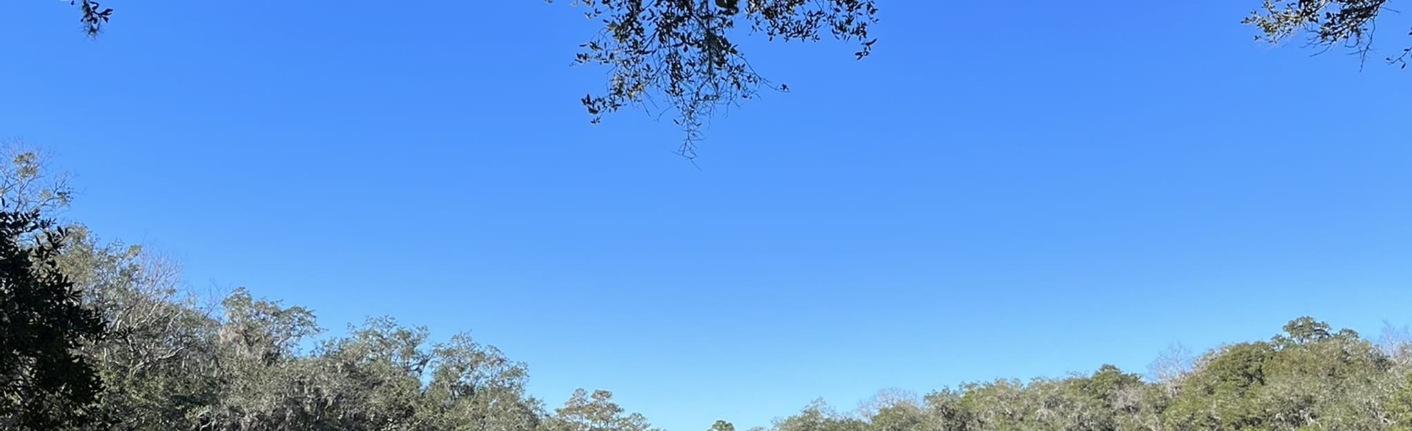 Guana, Timucuan, and South Point Loop Trail Loop, Florida - 637 Reviews ...