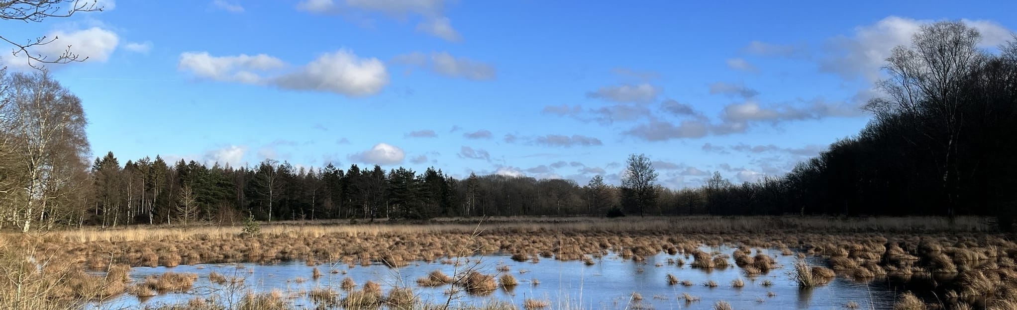 Trage Tocht: Hooghalen: 47 foto's - Drenthe, Nederland | Wandelen ...
