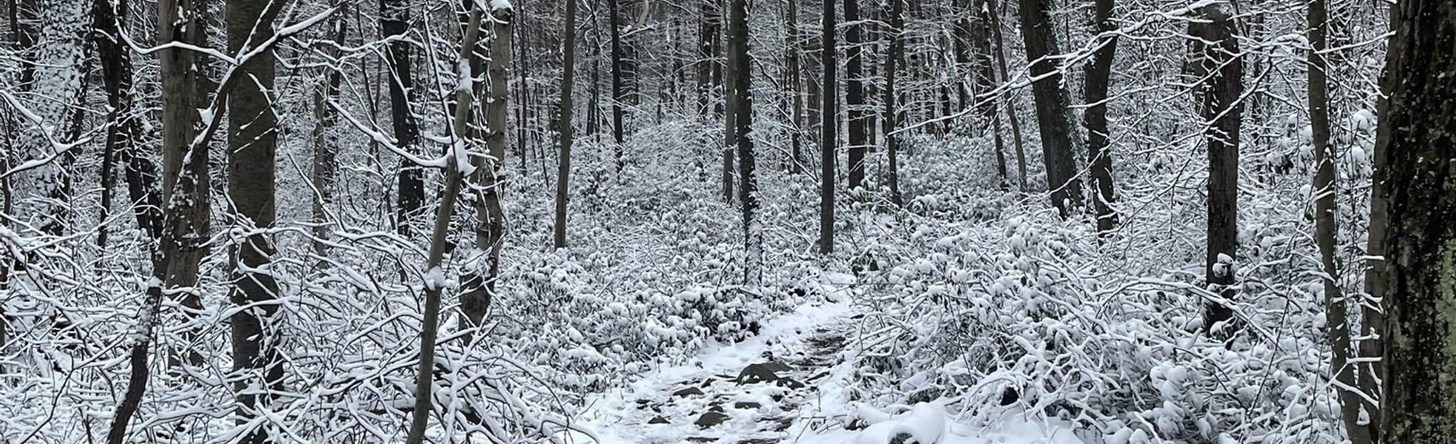 Laurel Highlands Hiking Trail Mile 70 to 0: 151 Reviews, Map ...