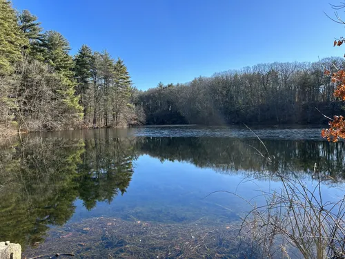 Best Hikes and Trails in Wrentham State Forest | AllTrails