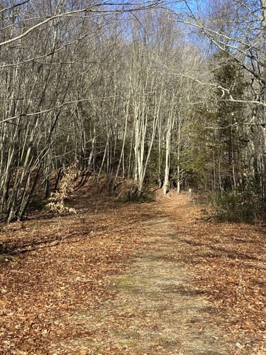 Best Hikes and Trails in Morgan R. Chaney Sanctuary | AllTrails