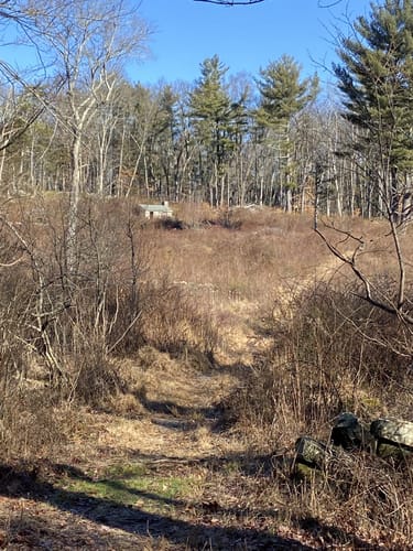 Best Hikes and Trails in Morgan R. Chaney Sanctuary | AllTrails