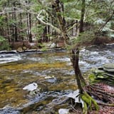 Old Mill Trail, Massachusetts - 267 Reviews, Map | AllTrails
