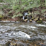 Old Mill Trail, Massachusetts - 267 Reviews, Map | AllTrails