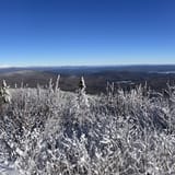 Mount Shaw and Black Snout, New Hampshire - 528 Reviews, Map | AllTrails