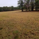 Carbuncle Pond and Moosup River Trail, Rhode Island - 261 Reviews, Map ...