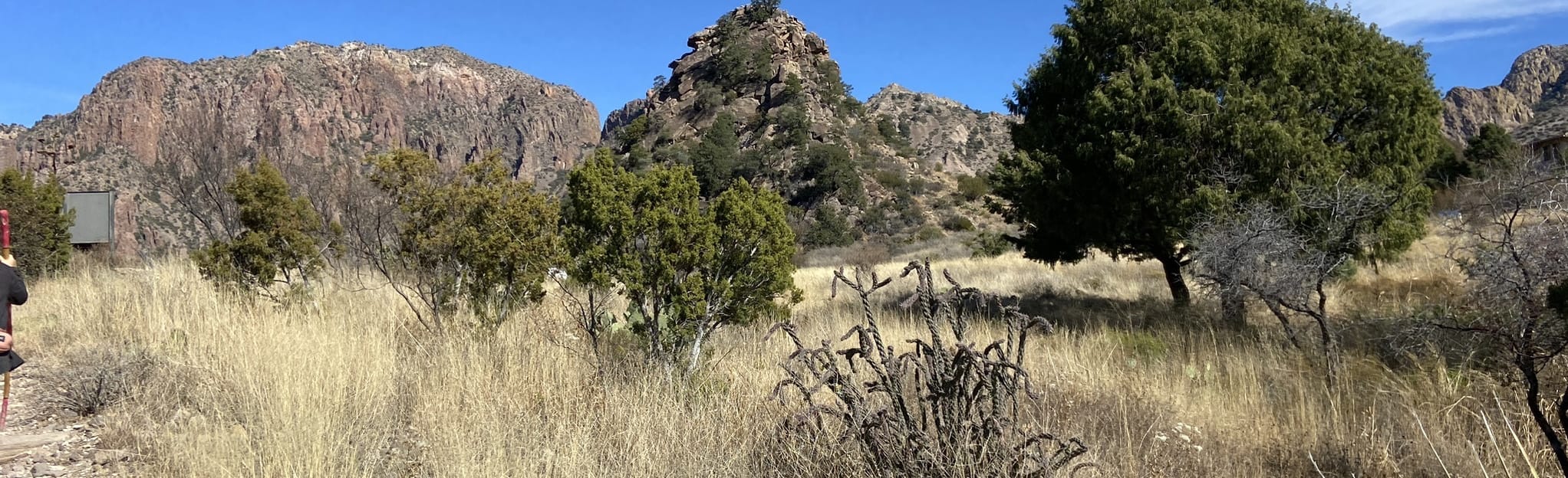 Emory Peak - Northeast Rim - South Rim Loop: 212 Reviews, Map - Texas ...