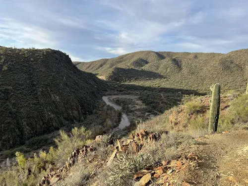 10 Best Trails and Hikes in Black Canyon City | AllTrails
