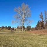 Chase Farm, Rhode Island - 275 Reviews, Map | AllTrails