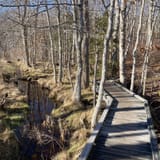 Cornell Farm Bridge, Massachusetts - 400 Reviews, Map | AllTrails