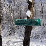 Mount Shaw and Black Snout, New Hampshire - 528 Reviews, Map | AllTrails