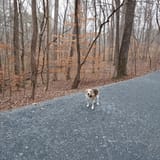 Webb Bridge Park Trail, Georgia - 768 Reviews, Map | AllTrails