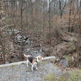Webb Bridge Park Trail, Georgia - 768 Reviews, Map | AllTrails