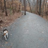 Webb Bridge Park Trail, Georgia - 768 Reviews, Map | AllTrails