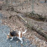 Webb Bridge Park Trail, Georgia - 768 Reviews, Map | AllTrails