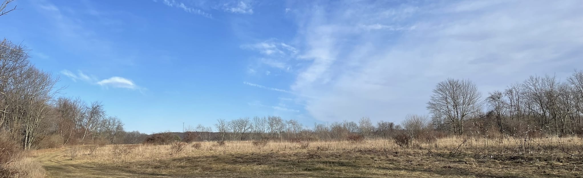 Moon Lake Trails, Pennsylvania - 282 Reviews, Map | AllTrails