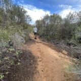 Morgan Trail, California - 453 Reviews, Map | AllTrails
