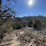 Pine Ridge Loop, Texas - 165 Reviews, Map | AllTrails