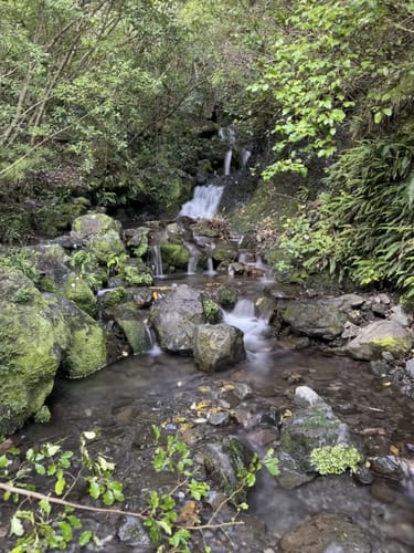 2023 Best 10 Walking Trails in Hanmer Springs | AllTrails