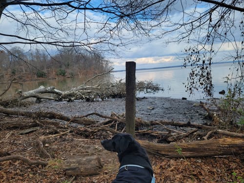 Best Hikes and Trails in Swan Harbor Farm | AllTrails