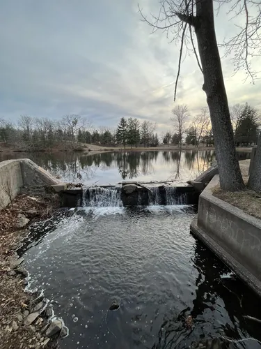 Best Hikes and Trails in Wharton Brook State Park | AllTrails