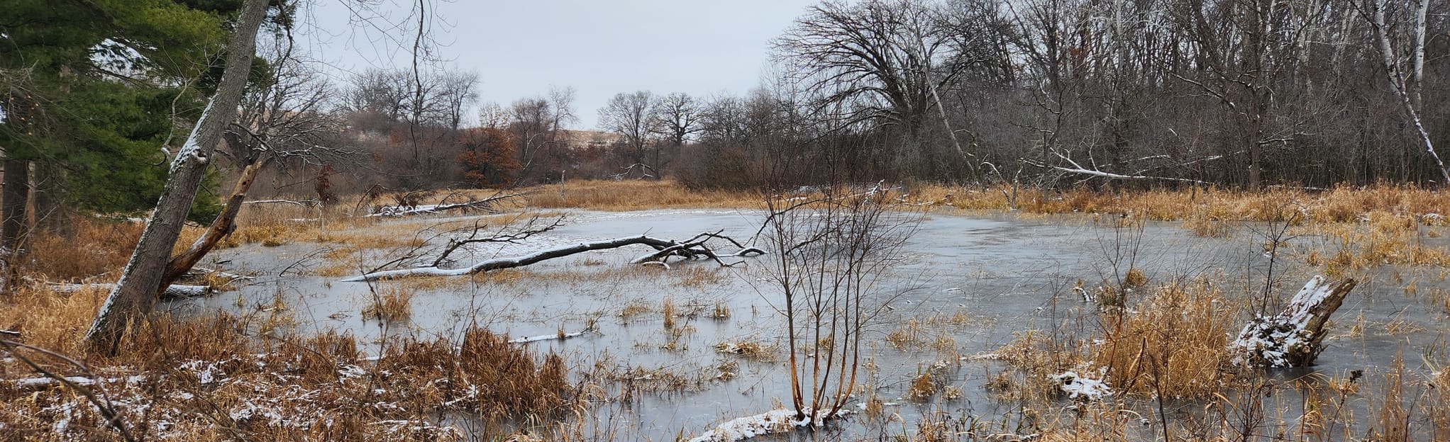 Camp Tomo-Chi-Chi Knolls: 569 Reviews, Map - Illinois | AllTrails