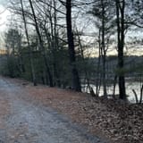 Douglas Forest Wallis Pond Loop Trail, Massachusetts - 875 Reviews, Map ...