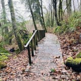 Chambers Creek Trail, Washington - 249 Reviews, Map | AllTrails