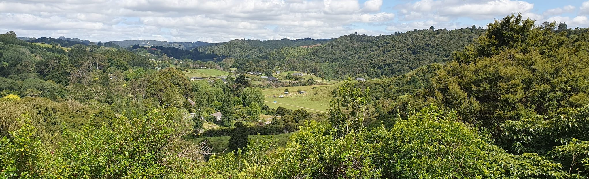 Puhoi Lookout Track: 62 Reviews, Map - Auckland, New Zealand | AllTrails