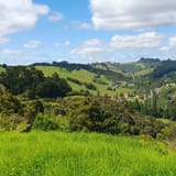 Puhoi Lookout Track, Auckland, New Zealand - 45 Reviews, Map | AllTrails